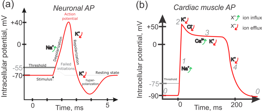 Open Science – Kireevlab